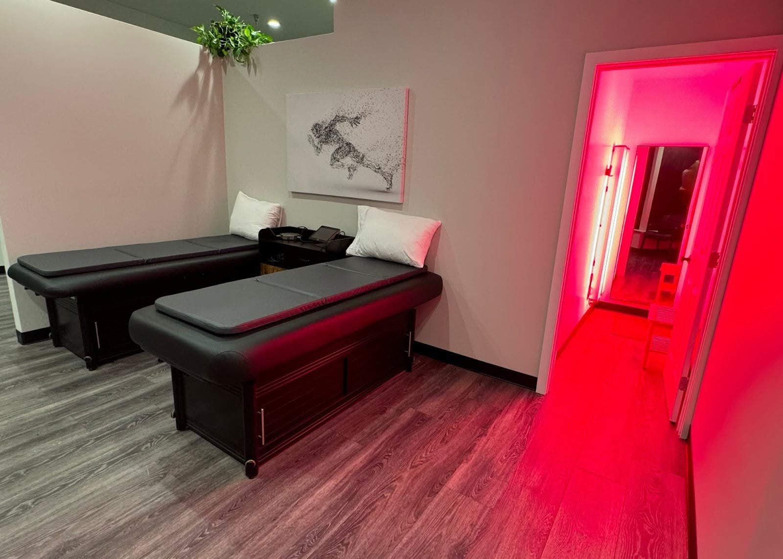 BPI Case Study - Clearlight Infrared Saunas